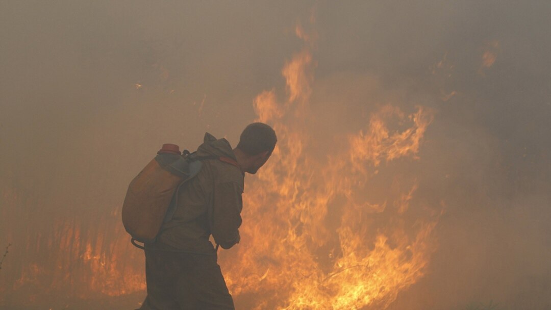 حرائق غابات روسيا 2010: بيئة خانقة أودت بحياة عشرات الأشخاص - Misaha